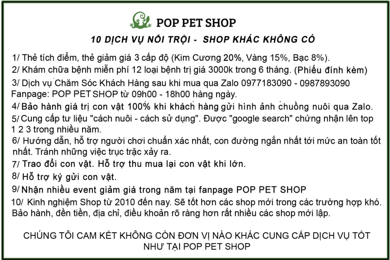 Cách Thức Mua Hàng tại Pop Pet Shop » Pop Pet Shop