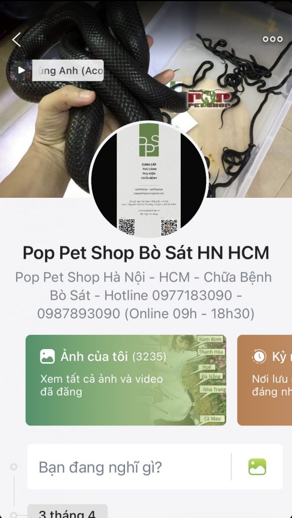 Cách Thức Mua Hàng tại Pop Pet Shop » Pop Pet Shop